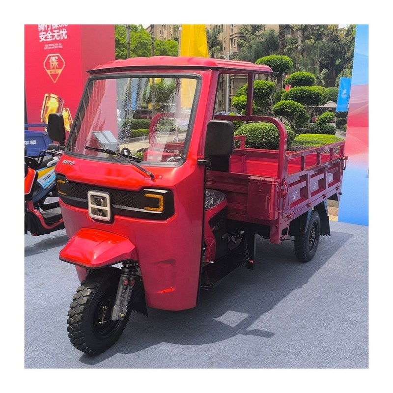 Three-wheel Motor Cargo Tricycle for Adults in Ghana Enclosed Tanzania ...