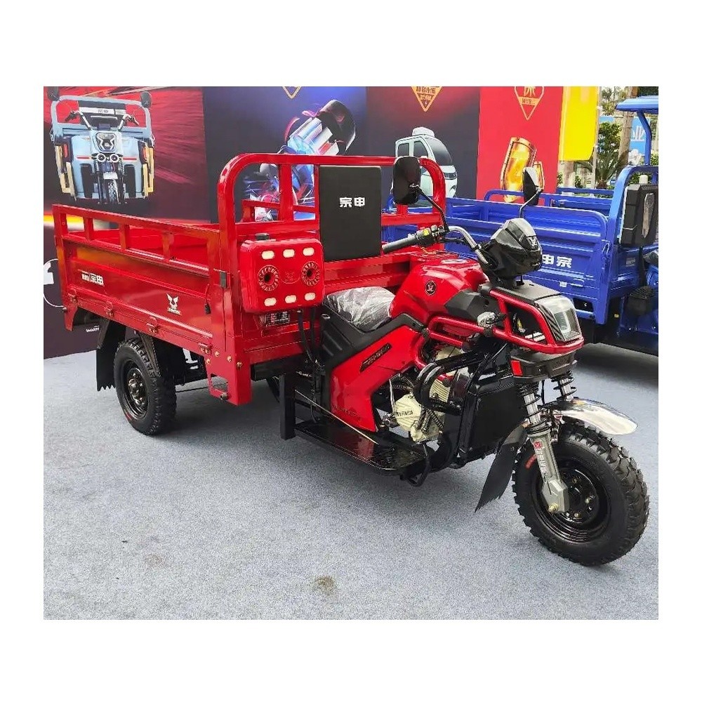 3 Wheel Petrol Engine Tricycle with Sidecar in Pakistan Easy to Operate ...