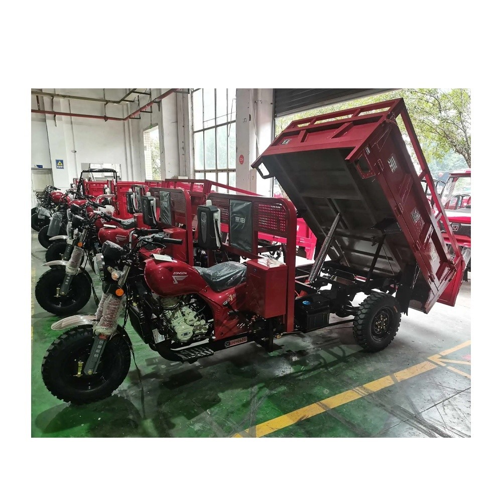 300cc Gasoline Motorized Tricycle for Adult Riders Rear Suspension 8 ...